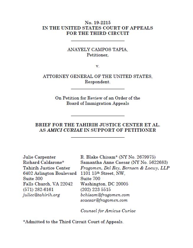 Amicus Brief Filed With The U S Court Of Appeals For The Third Circuit