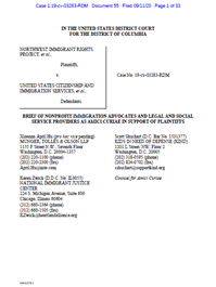 Amicus Brief in Northwest Immigrant Rights Project v. USCIS - Tahirih ...
